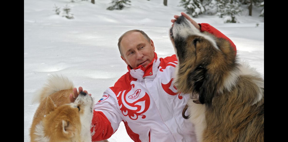 Photo : Le président russe Vladimir Poutine avec ses chiens à Moscou ...