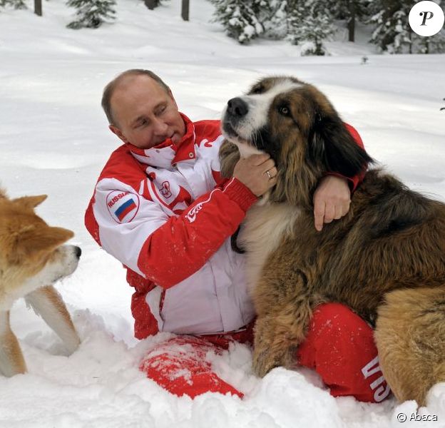 Vladimir Poutine : Tendre balade avec ses deux chiens avant de croiser ...