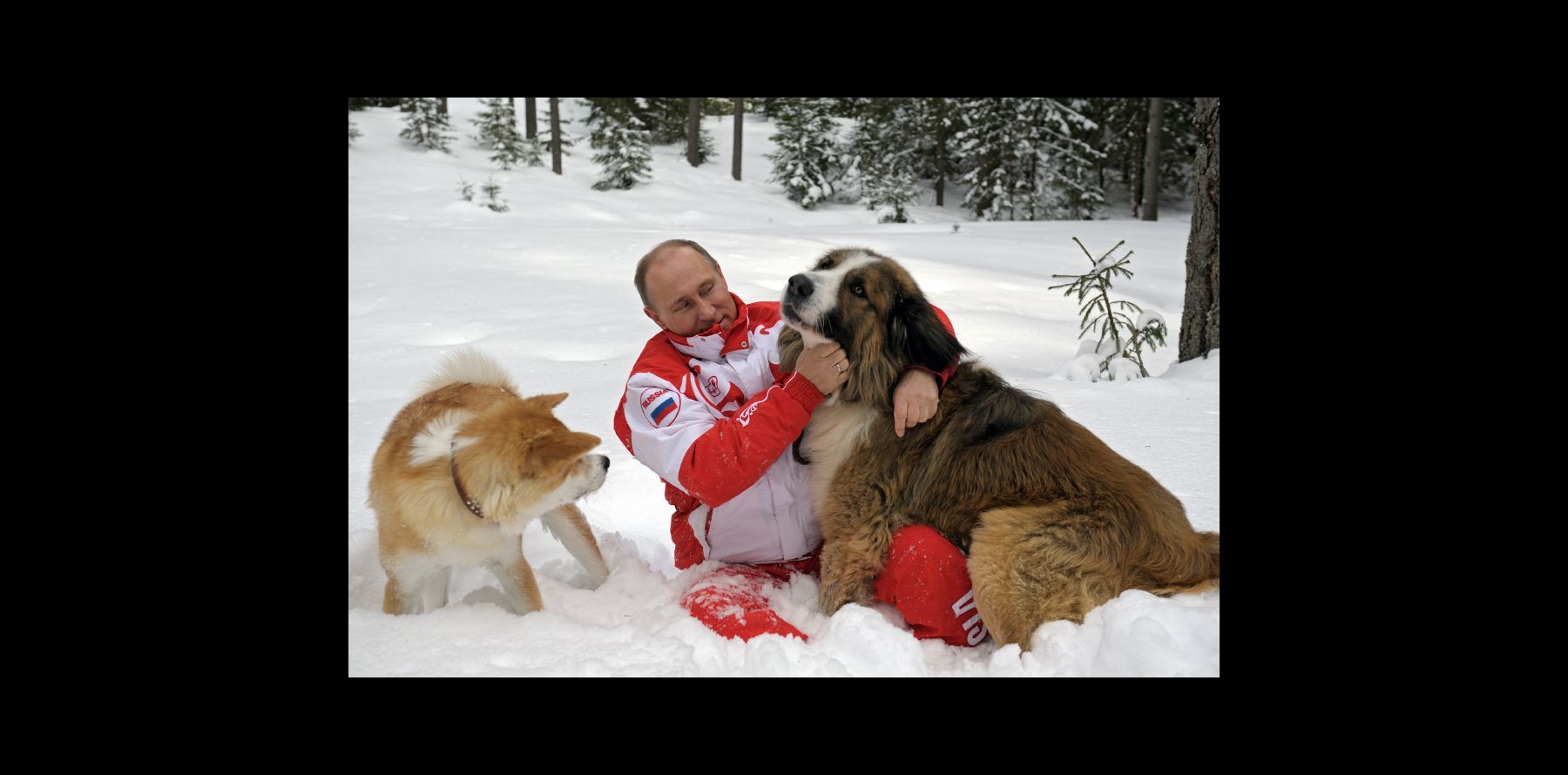 Vladimir Poutine : Tendre balade avec ses deux chiens avant de croiser ...