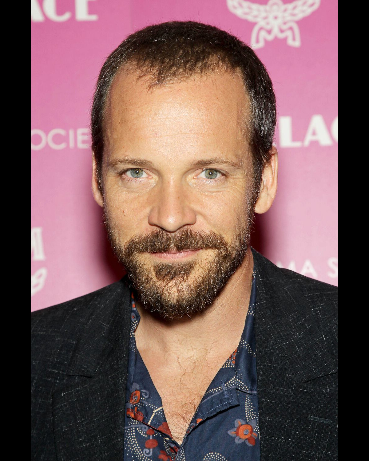 Photo : Peter Sarsgaard à la première de Lovelace au MoMA de New York ...