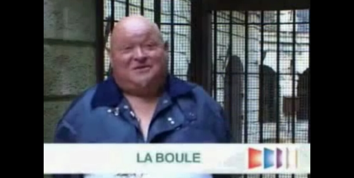 Photo : La Boule aka Yves Marchesseau (61 ans) - Ode (Purepeople)