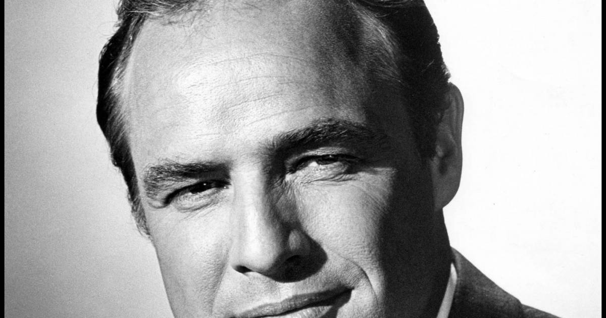 Marlon Brando - Portrait - Purepeople