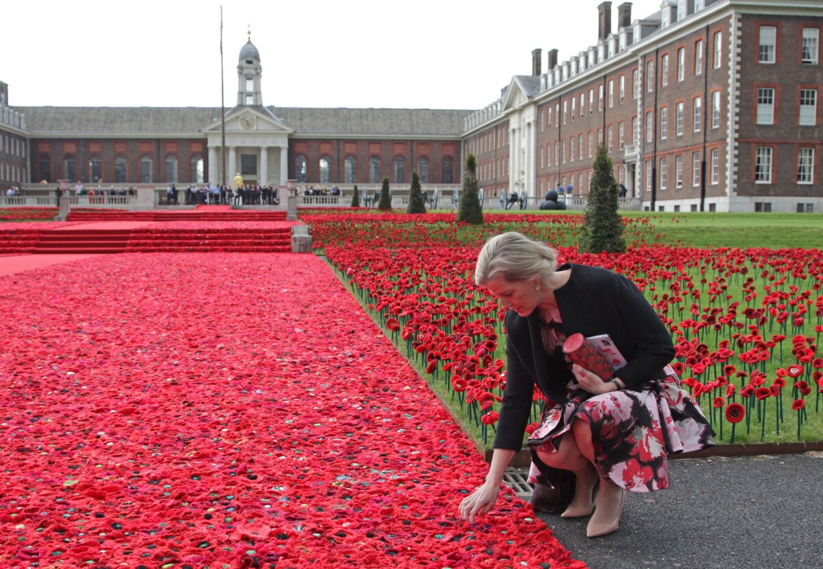 Photo : Sophie, comtesse de Wessex, découvre le tapis des 5000 ...