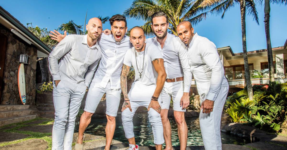 Jeff, Ricardo Pinto, Nicolas, Nikola Lozina, Dimitri Desheraud candidats officiels des Anges 8 ...