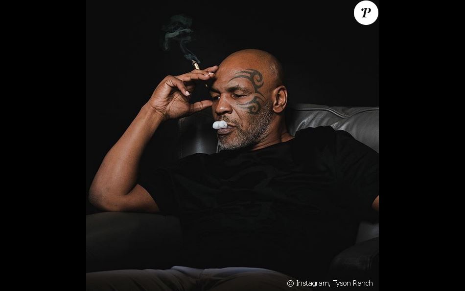 Mike Tyson s'est lancé dans la production de cannabis et a créé la ...