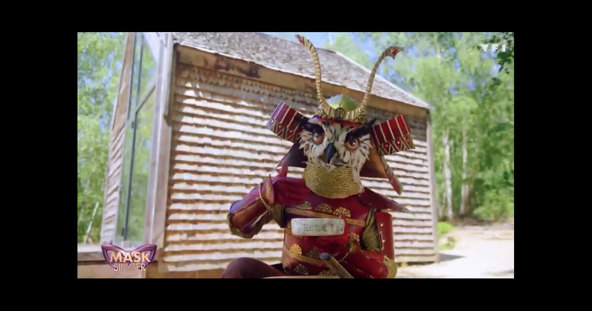 Mask Singer – Hibou démasqué, découvrez qui se cachait derrière le ...