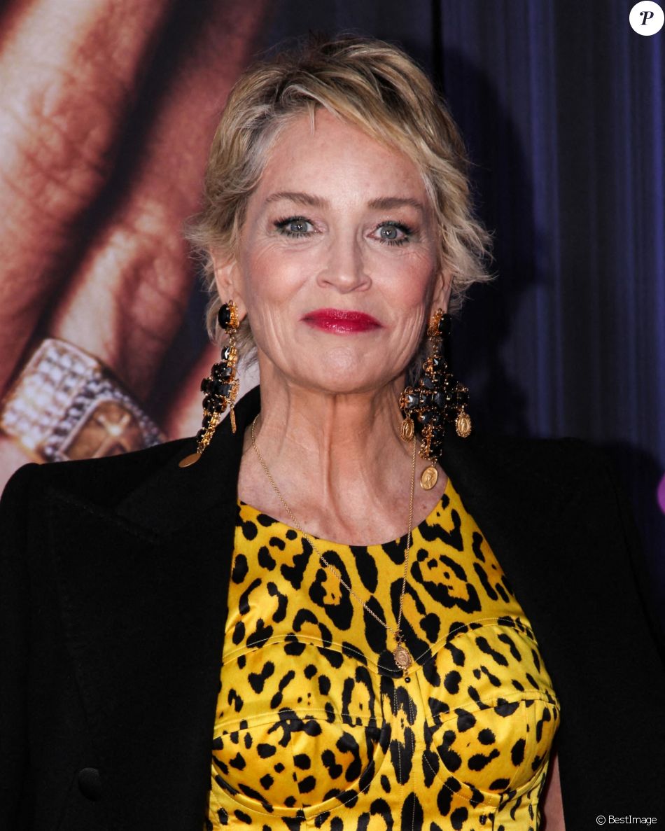 Sharon Stone - Première du film The Eyes of Tammy Faye à New York, le ...
