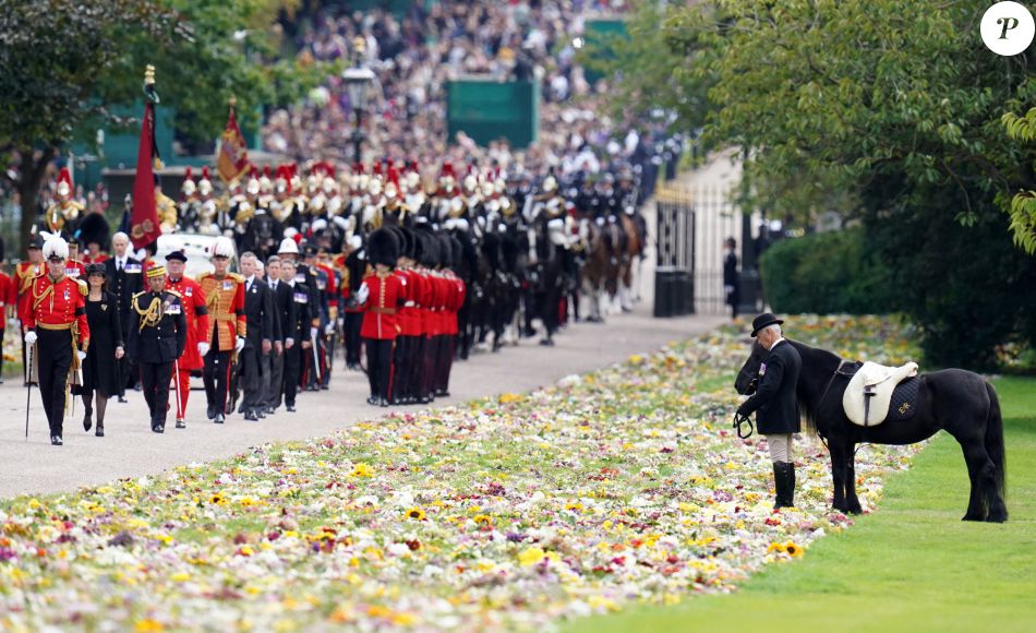 Emma Le Poney De La Reine Elizabeth Ii Dangleterre Arrivée Du