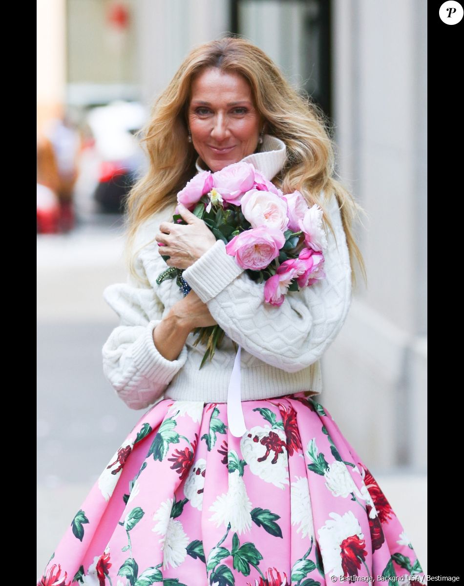 Céline Dion "bloquée sur une chaise, "stoppée net dans un escalier ...