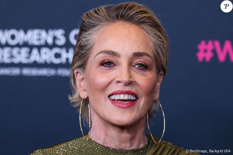 Sharon Stone - Photocall du dîner de gala caritatif Women's cancer ...