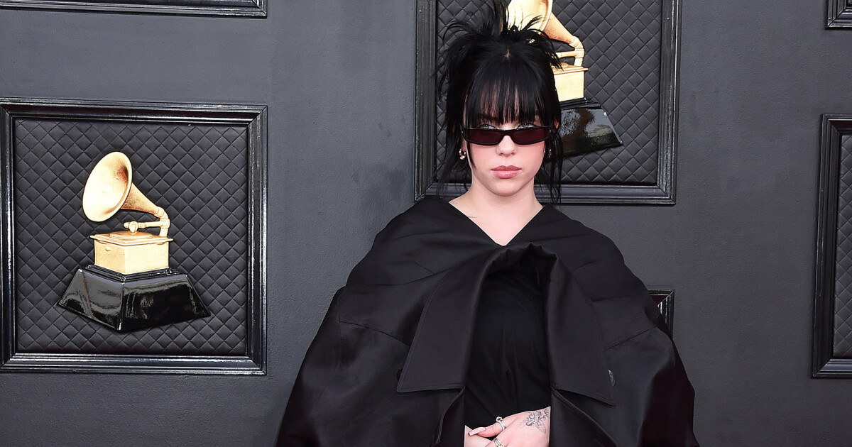 Billie Eilish : Cachet record pour Rock en Seine, un 20e anniversaire ...