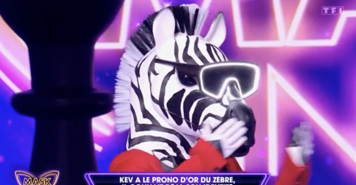Photo : La performance du mystérieux zèbre dans Mask Singer (TF1 ...
