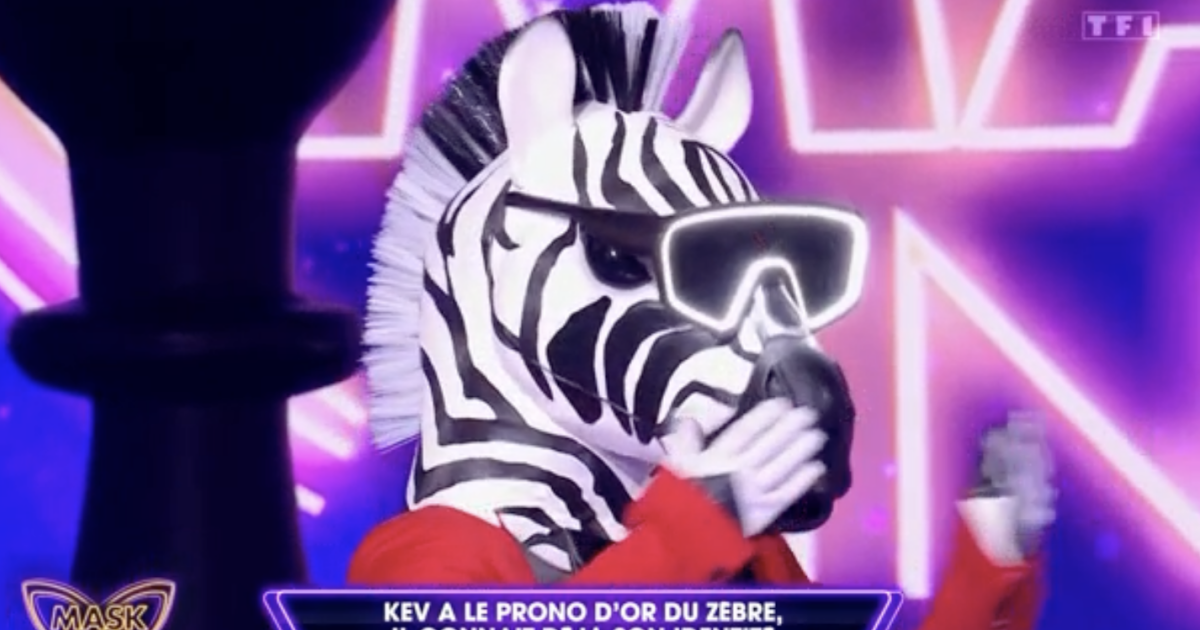 Mask Singer 5 : Le Zèbre démasqué, pas de surprise pour deux enquêteurs ...