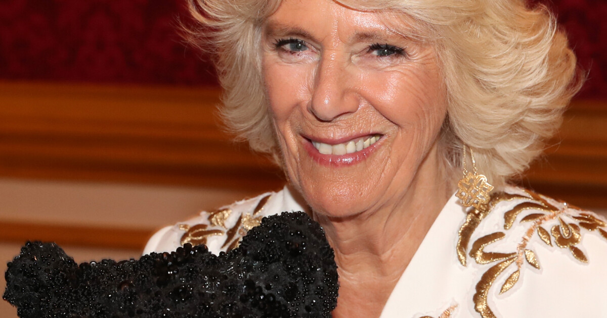 "Une sorte de maquerelle" : Le rôle ahurissant de Camilla dans la ...
