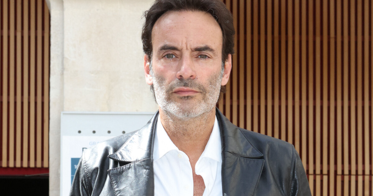 Anthony Delon annonce une bonne nouvelle après la tempête... : Le ...