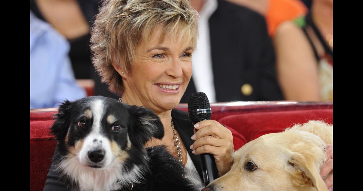 Henri Salvador : Sa veuve Catherine émue par un duo inédit avec ...