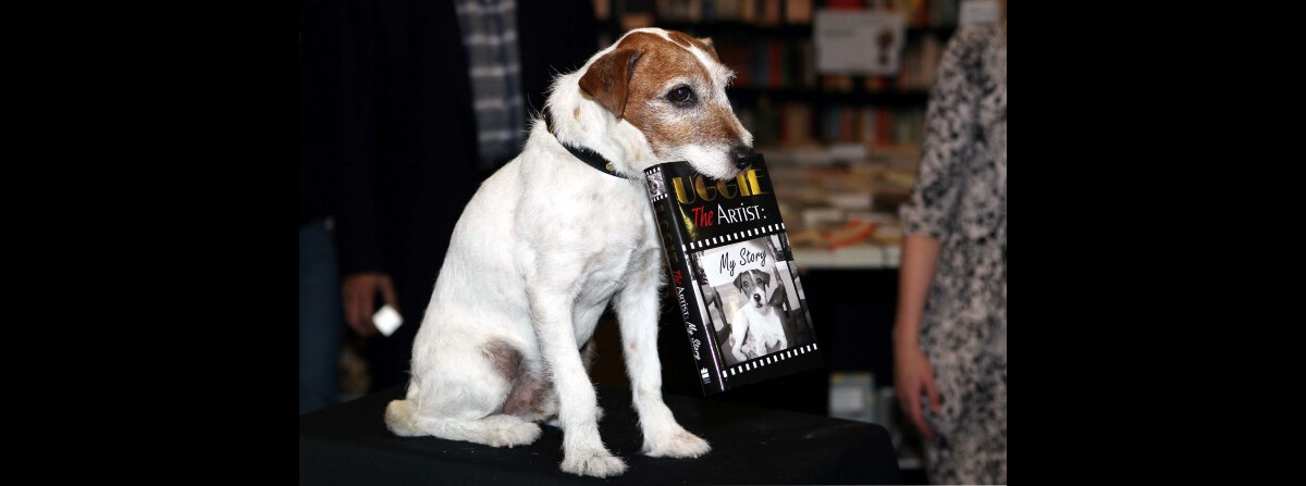 Photo : Le chien Uggie fait la promotion de ses mémoires, Uggie : The ...