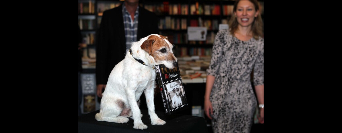 Photo : Uggie fait la promotion de ses mémoires, Uggie : The Artist, à ...