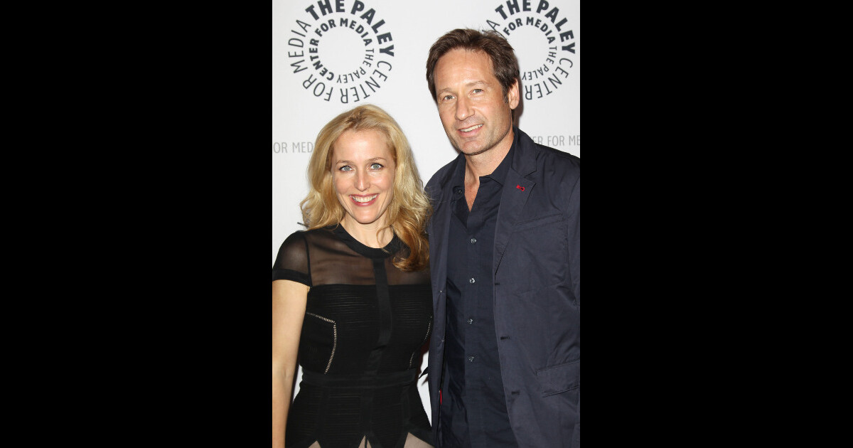 X-Files, 20 ans après : Les retrouvailles de Gillian Anderson et David ...