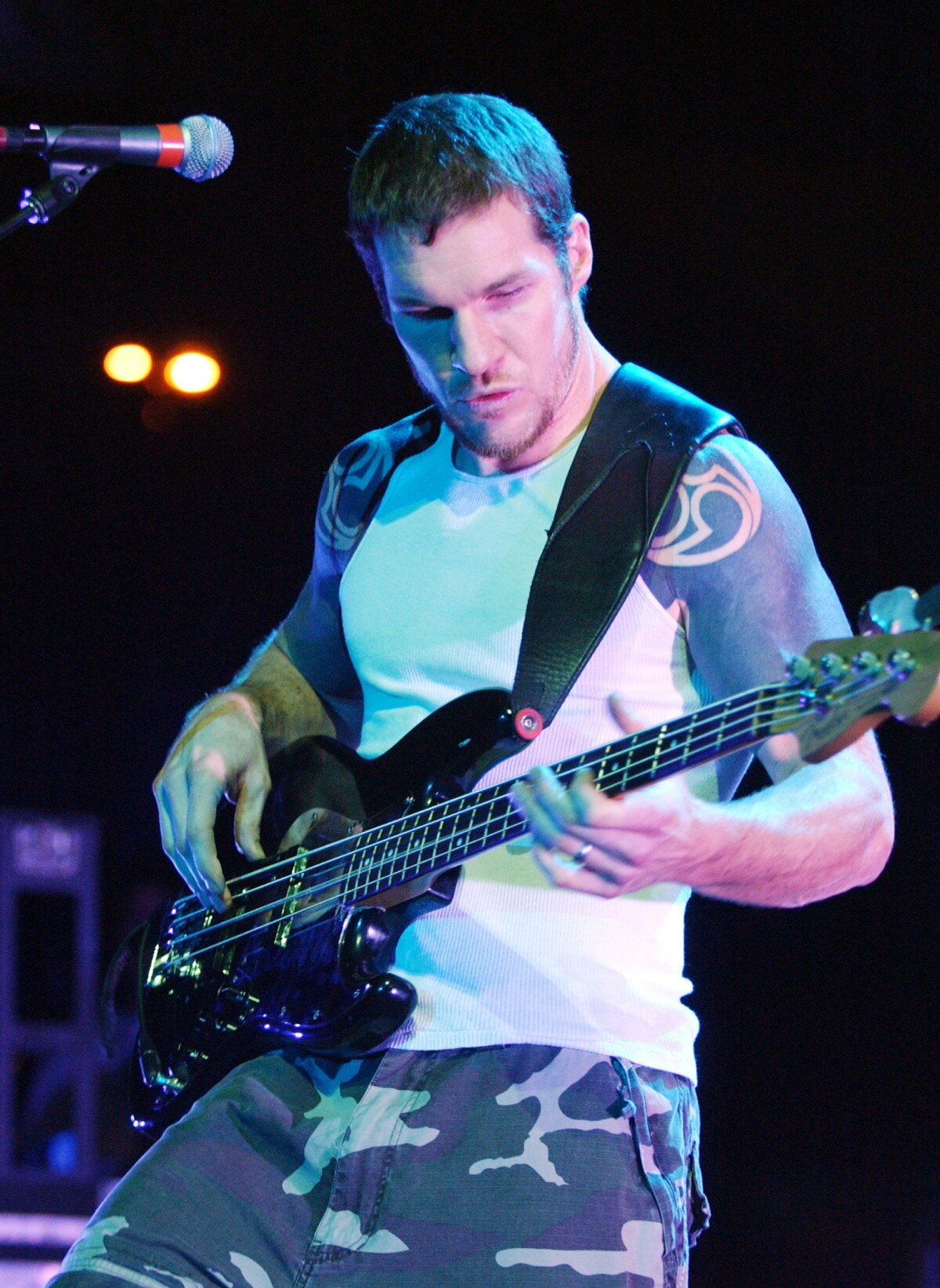 Photo : Tim Commerford lors d'un concert d'Audioslave, au festival ...