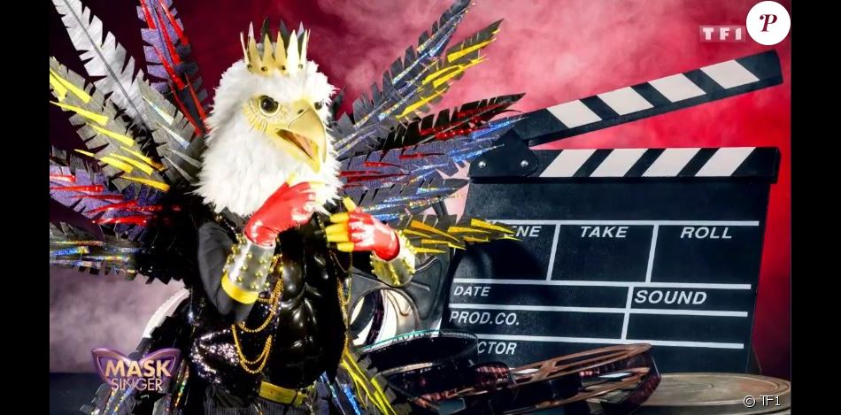 Portrait et performance de l'Aigle, personnage de Mask Singer, sur TF1 ...