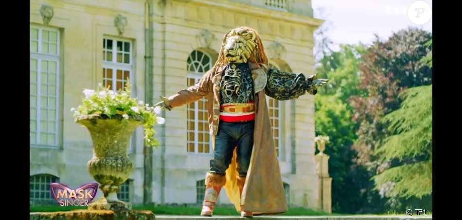 Portrait et performance du Lion, personnage de Mask Singer, sur TF1 ...