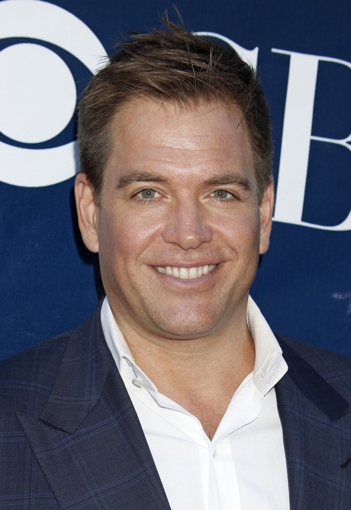 Photo : Michael Weatherly lors de la soirée "CBS, CW And Showtime 2015 ...