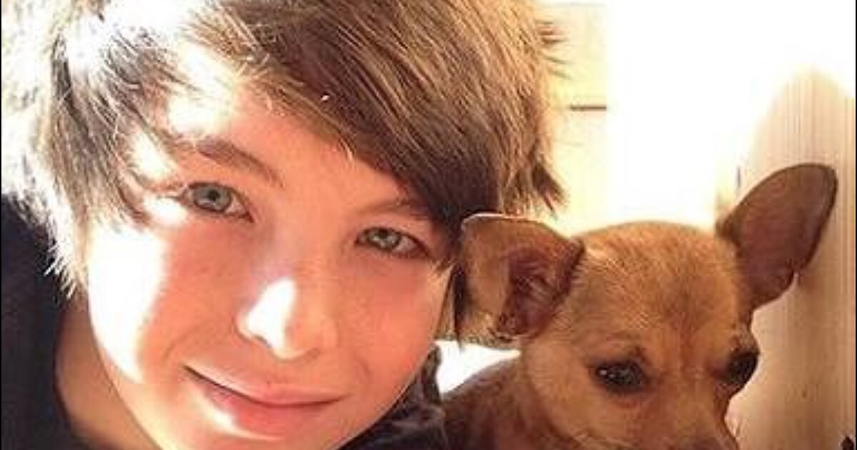 Mort de Logan Williams à 16 ans : sa mère révèle la cause de la ...