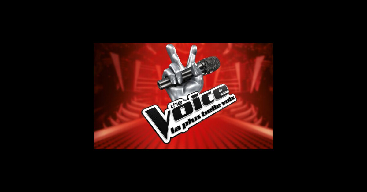 The Voice 2022 : Les quatre coachs trouvés, leurs noms révélés ! - Ode ...