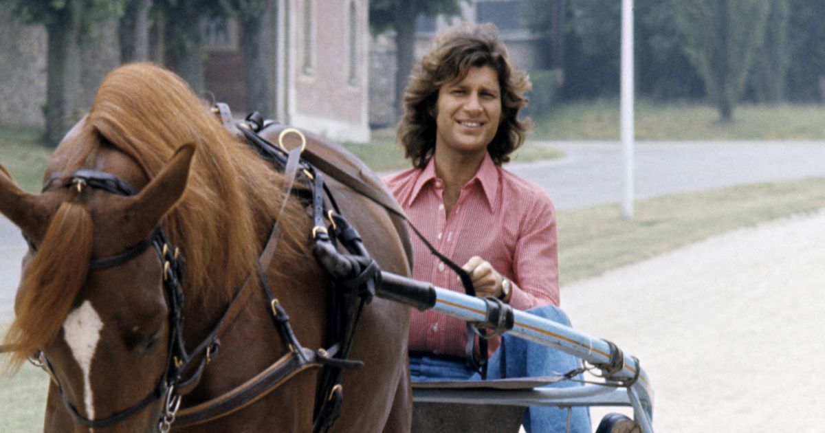 Suicide, assassinat... la mystérieuse mort de Mike Brant : un étrange ...