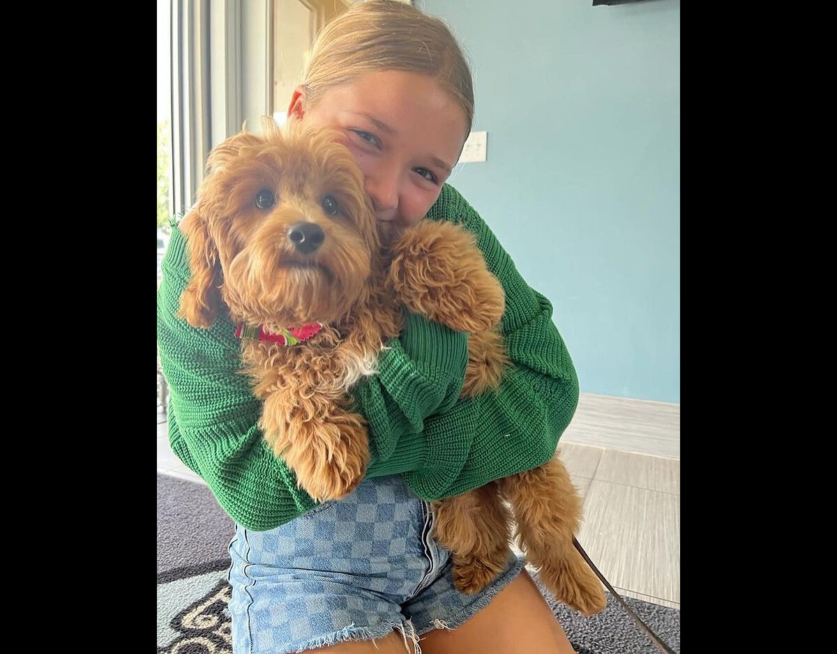 Photo : Harper Beckham et son chien Simba. - Purepeople