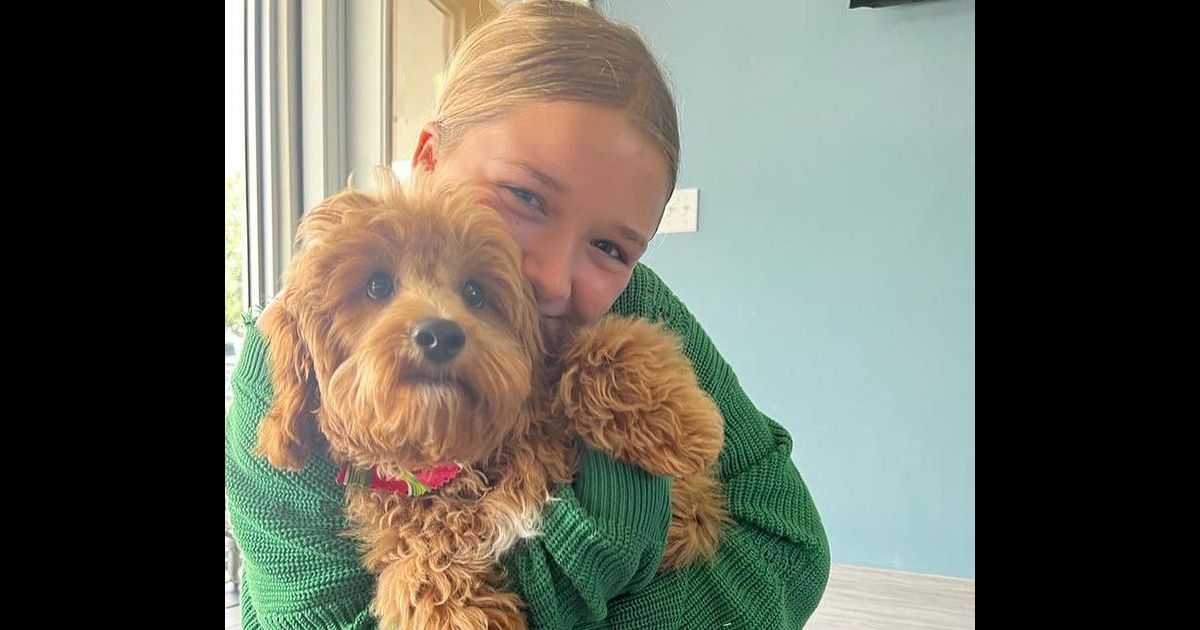 Harper Beckham et son chien Simba. - Purepeople