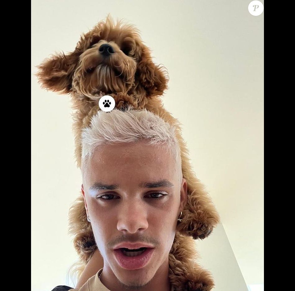 Romeo Beckham et son chien Simba. - Purepeople