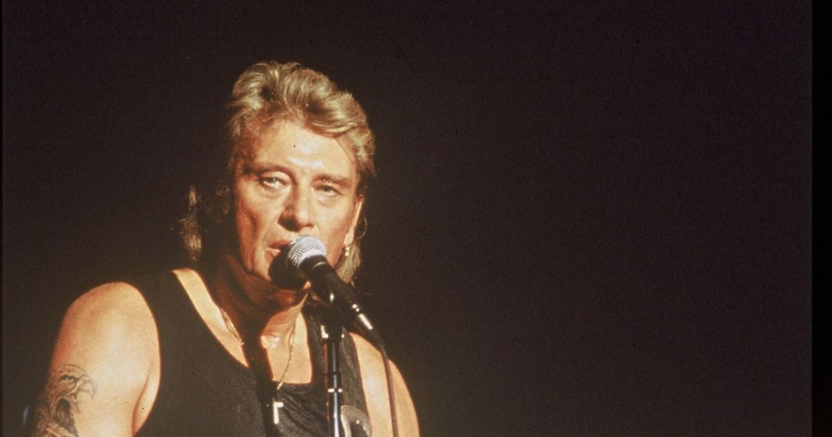 Johnny Hallyday en concert avec sa guitare - Purepeople