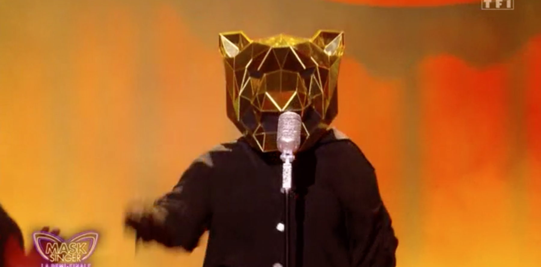 Mask Singer - La Tigresse démasquée : Vitaa a de suite reconnu la star ...