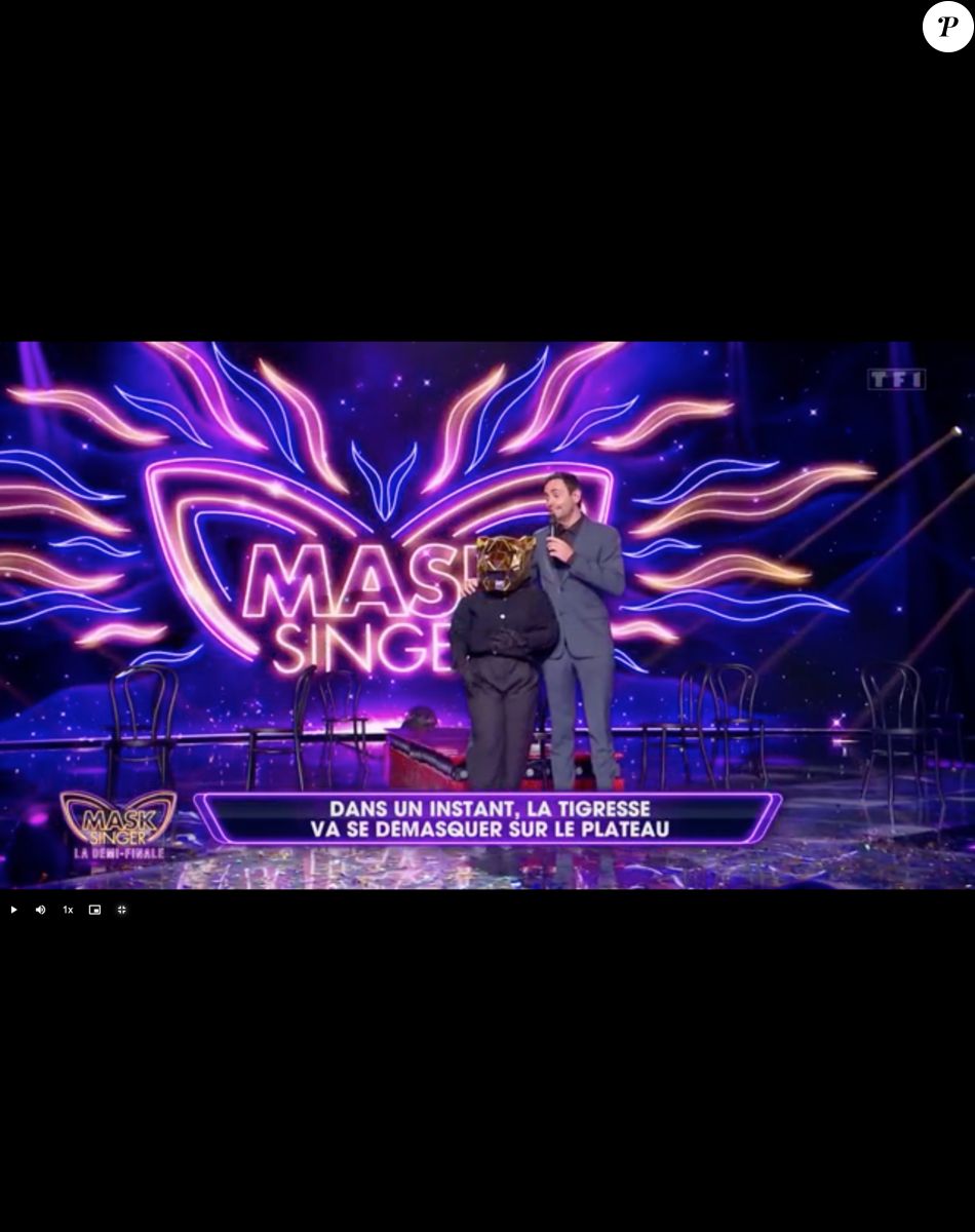 Mask Singer - La Tigresse démasquée : Vitaa a de suite reconnu la star ...