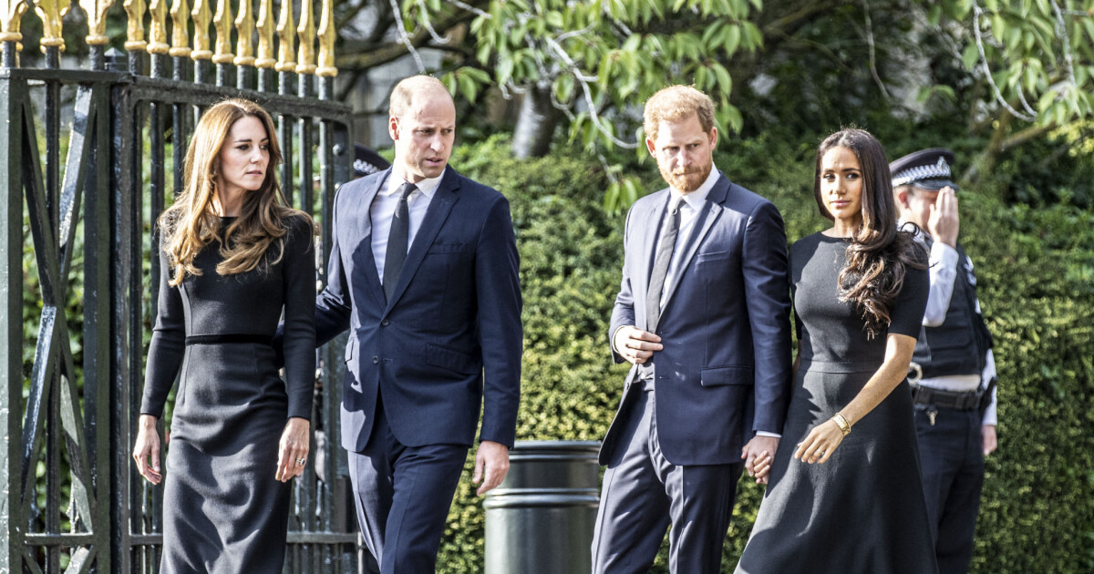 "C'est malpoli Meg" : Gros coup de gueule du prince William, Meghan ...