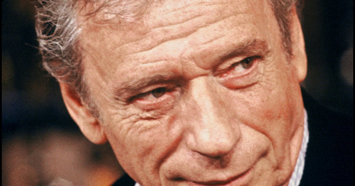 Yves Montand père d'une fille illégitime ? Une ancienne compagne passe à nouveau à l'attaque ...