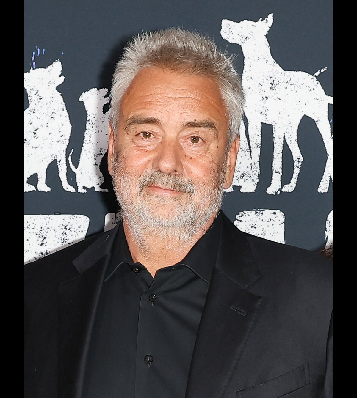 Photo : Luc Besson - Avant-première du film "Dogman" au cinéma UGC ...