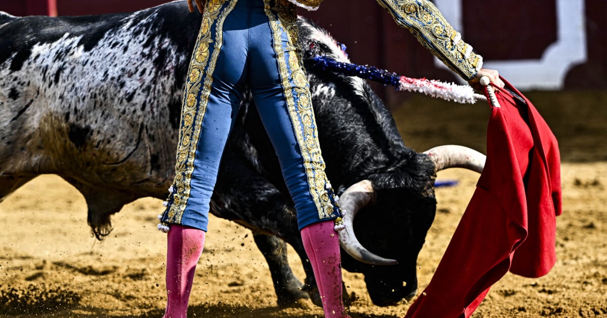 Un célèbre torero annule son mariage 30 minutes avant la cérémonie, sa ...