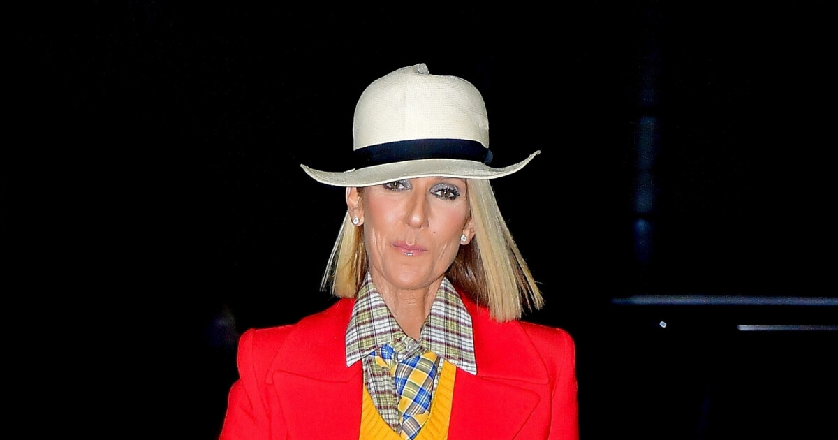 Céline Dion, mort de sa nièce Brigitte dans un terrible accident, sa ...