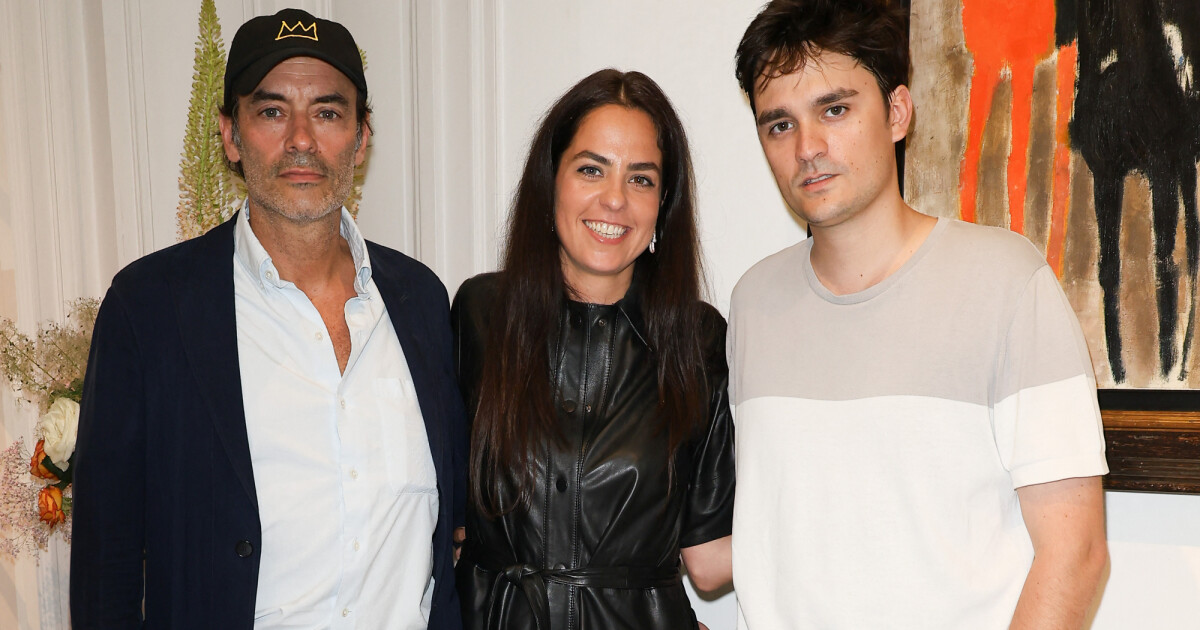 Guerre ouverte entre les 3 enfants d'Alain Delon : toute la chronologie ...