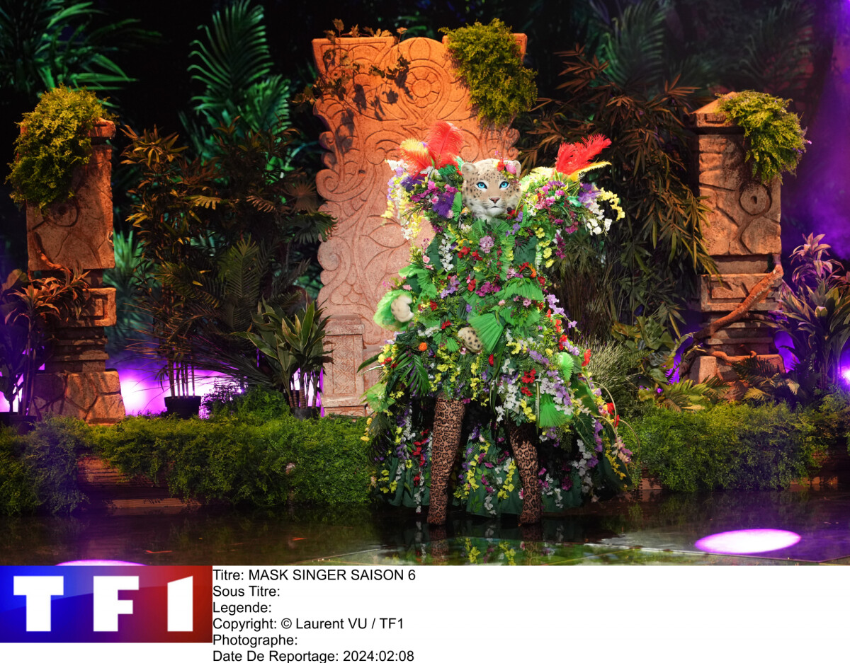 Photo : Le Léopard dans "Mask Singer". © Laurent VU / TF1 - Purepeople