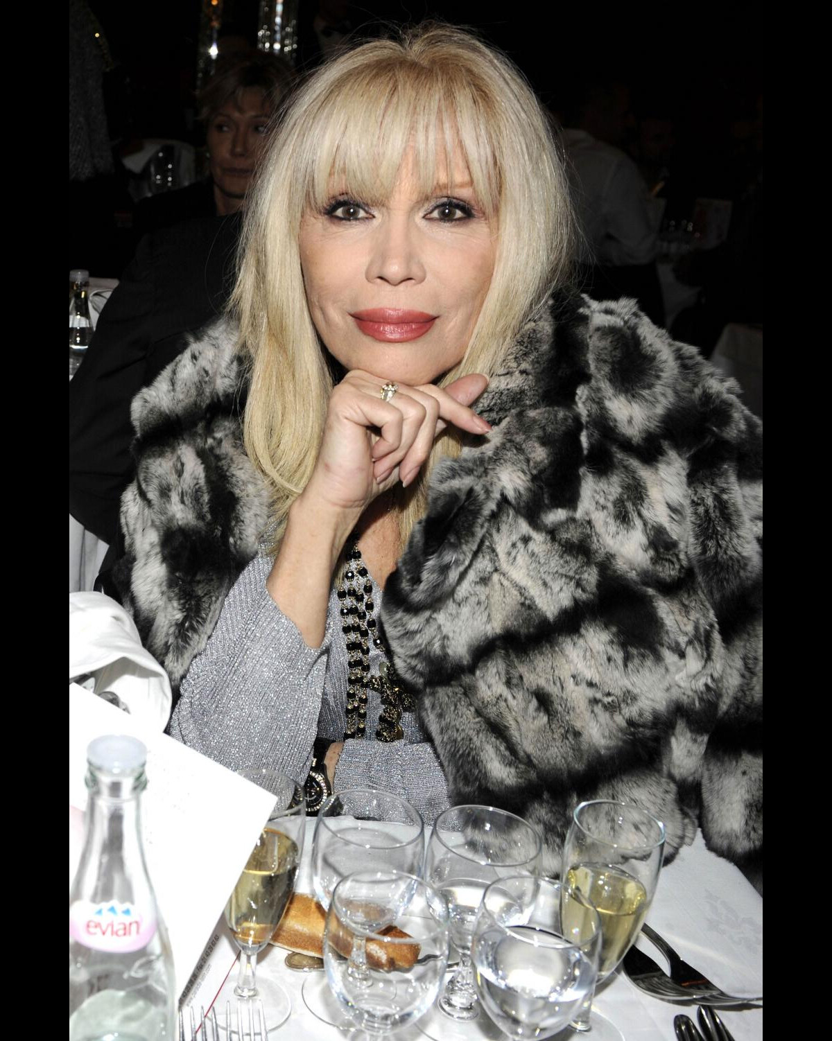Photo : Amanda Lear - Purepeople