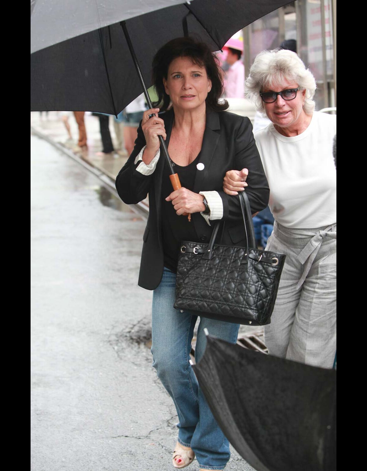 Photo : Anne Sinclair et son amie Daniel Frydman se rendent au MET, à ...