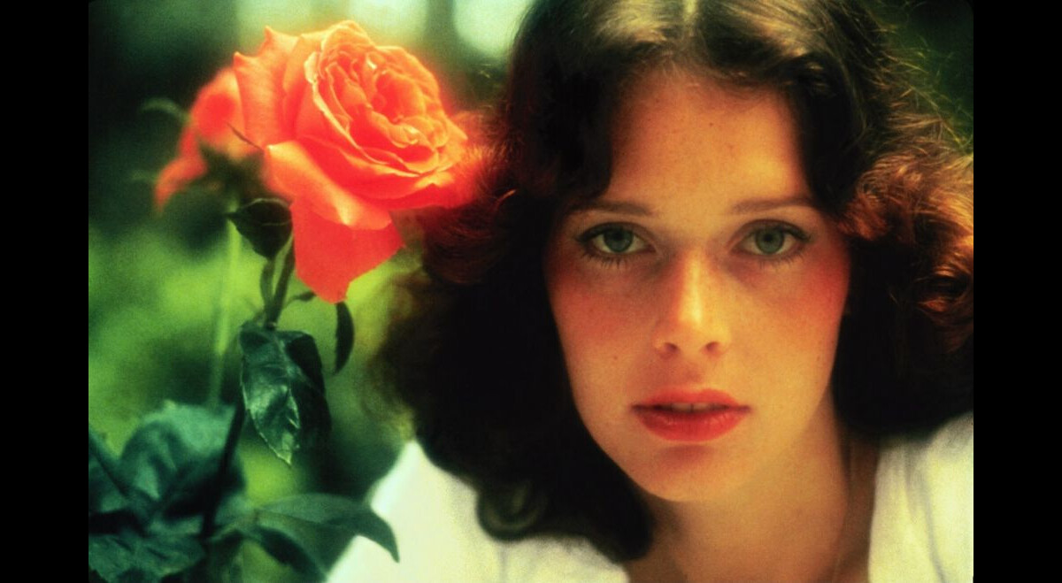 Sylvia Kristel Origine _ Sylvia Kristel Vie Privée – YDFQN