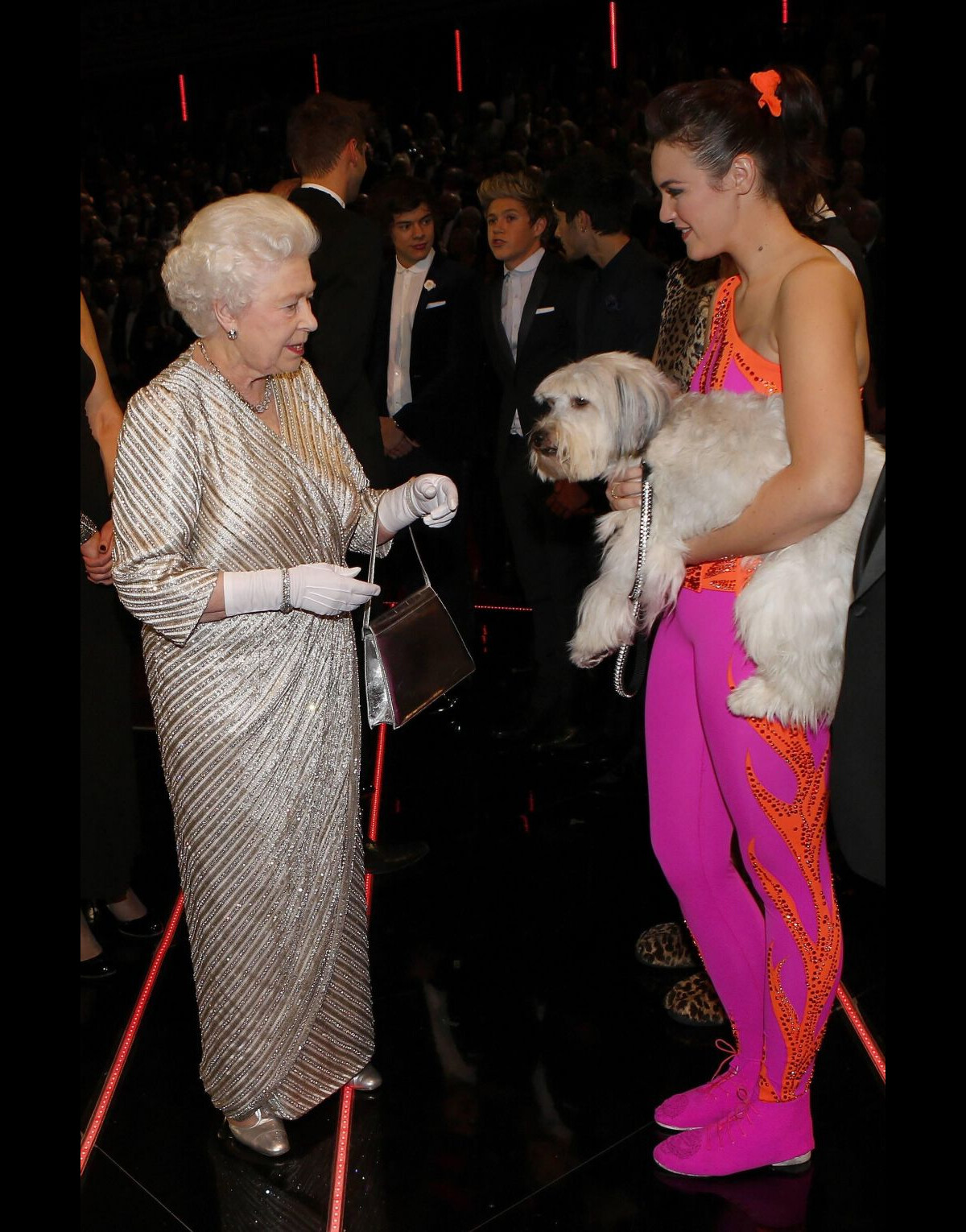 Photo : Elizabeth II, fan des chiens, était servie ! 100e gala du Royal ...