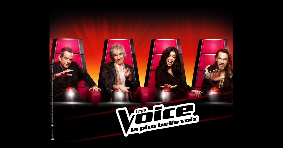 The Voice : Le grand retour d'Al.Hy, Ruby, Amalya et les finalistes ...