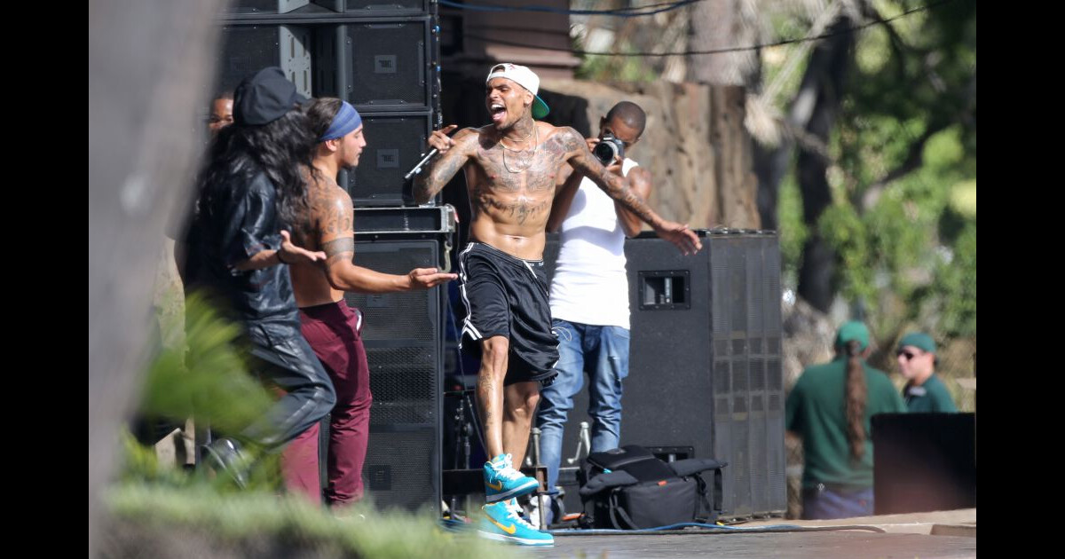 Chris Brown, victime de racisme ? Le rappeur explose de rage - Purepeople