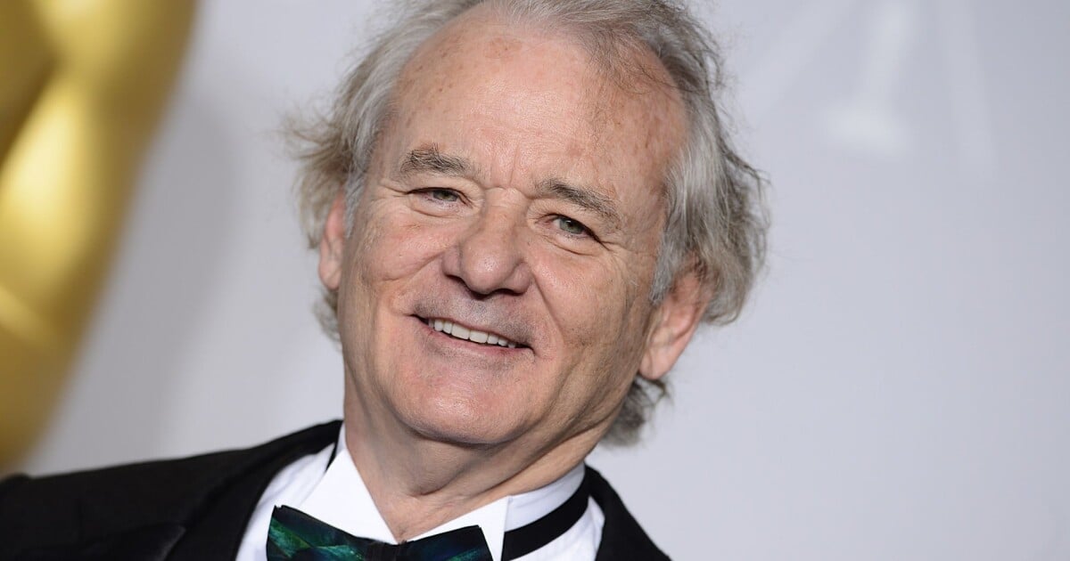 Bill Murray : L'ex-Ghostbuster devient Baloo pour Le Livre de la jungle ...